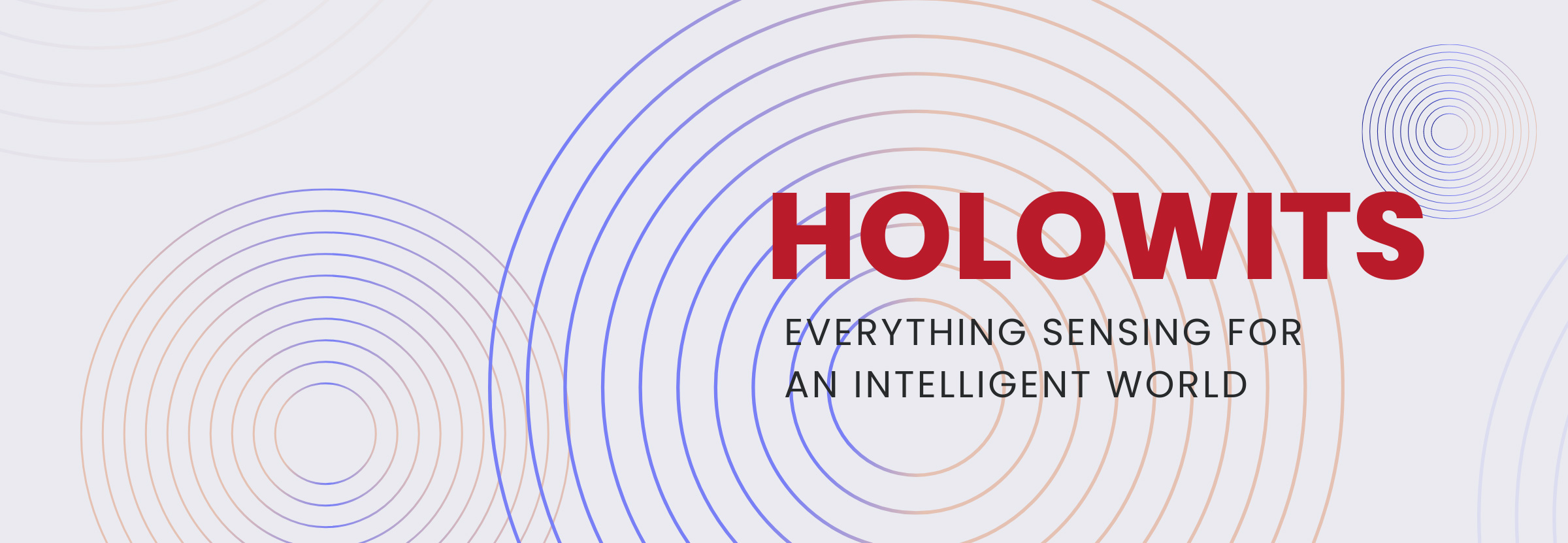 HoloWits Pinnacle ICT Distributor South Africa